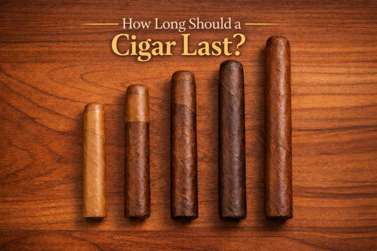 How Long Should a Cigar Last? Smoking Time by Size | Cigar Inc.